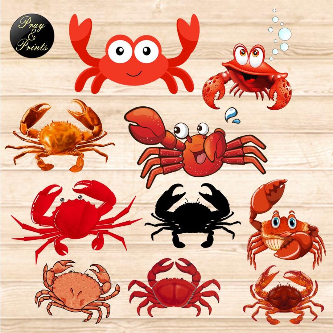 Crab Sea Crabs Food Animal Beach Illustration, Sticker Template ...