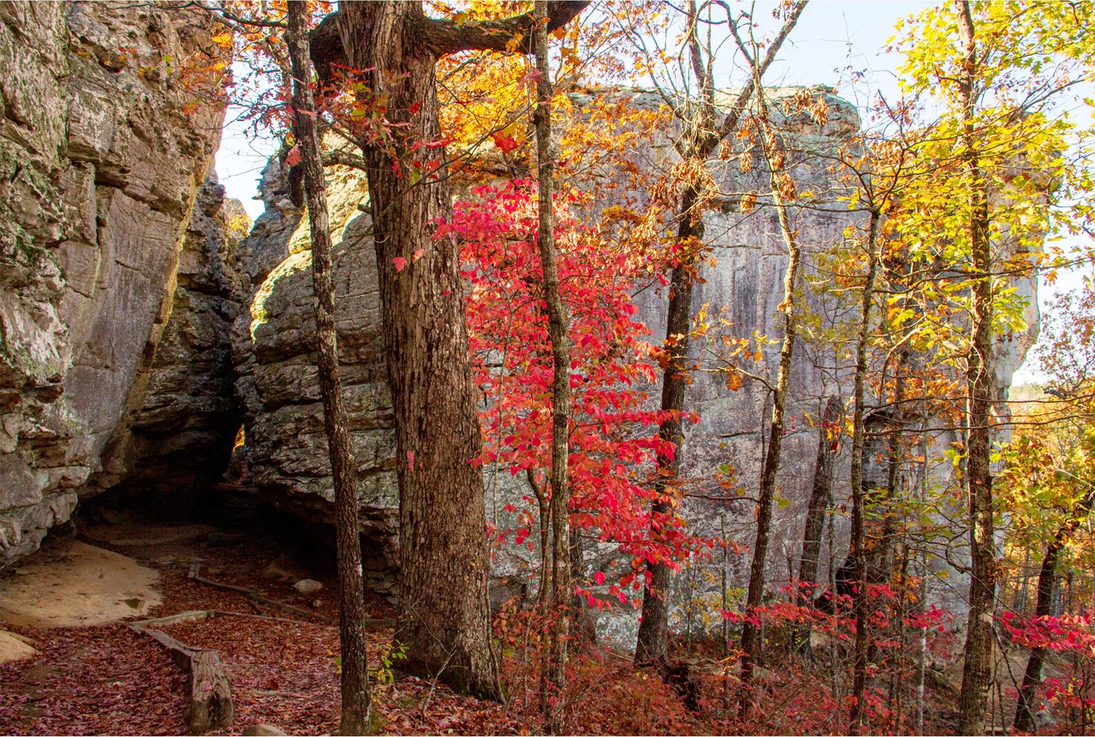 Petit Jean State Park in Arkansas Features a Beautiful Mountain Forest ...