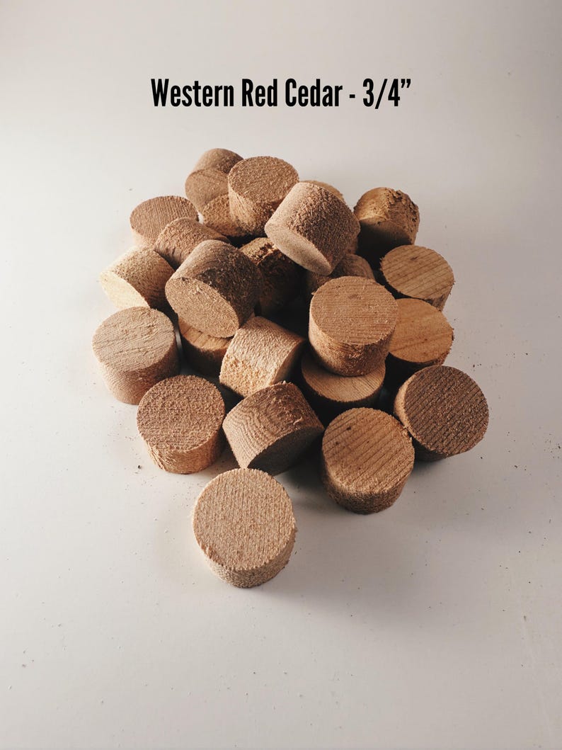 Western Red Cedar - Tapered Wood Plugs - Etsy