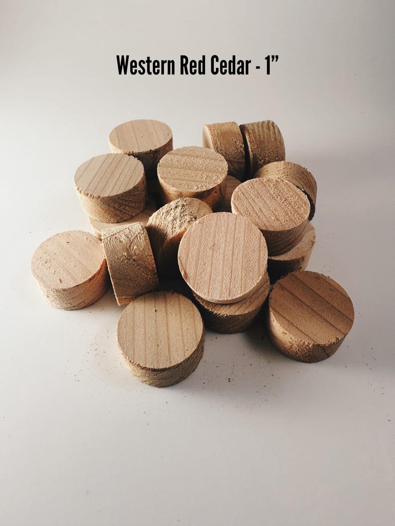 Western Red Cedar - Tapered Wood Plugs - Etsy