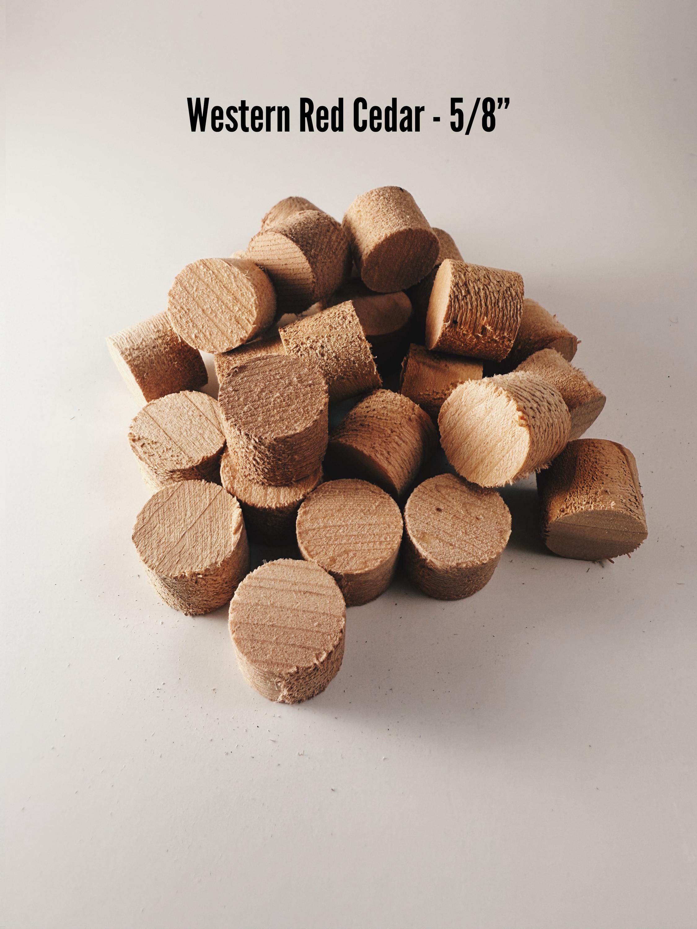 Western Red Cedar - Tapered Wood Plugs - Etsy