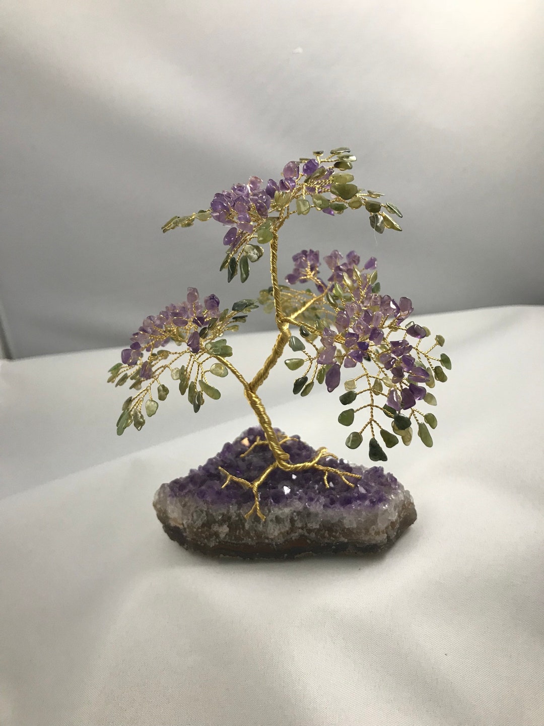 Miniature Jacaranda Gem Tree - Etsy