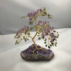 Miniature Jacaranda Gem Tree - Etsy