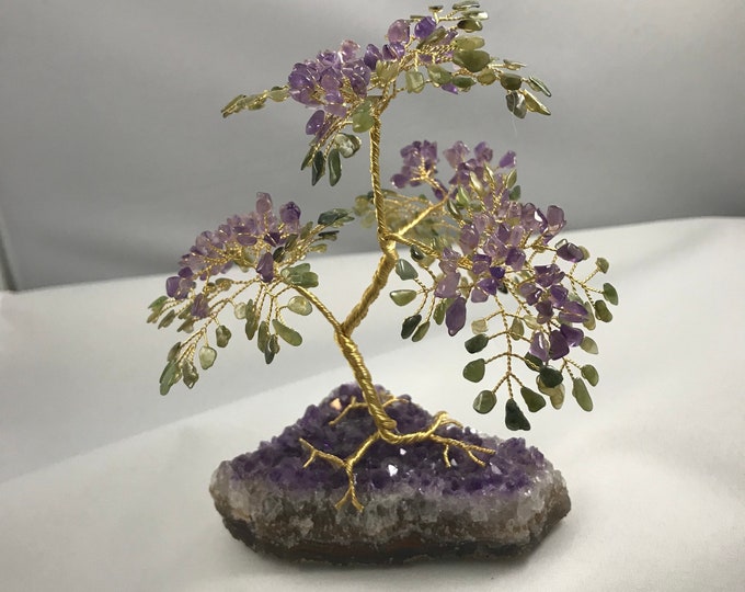 Miniature Jacaranda Gem Tree - Etsy