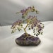 Miniature Jacaranda Gem Tree - Etsy