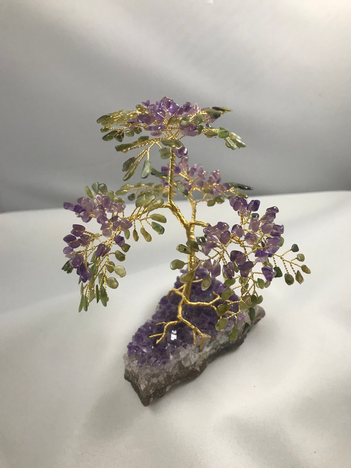 Miniature Jacaranda Gem Tree - Etsy