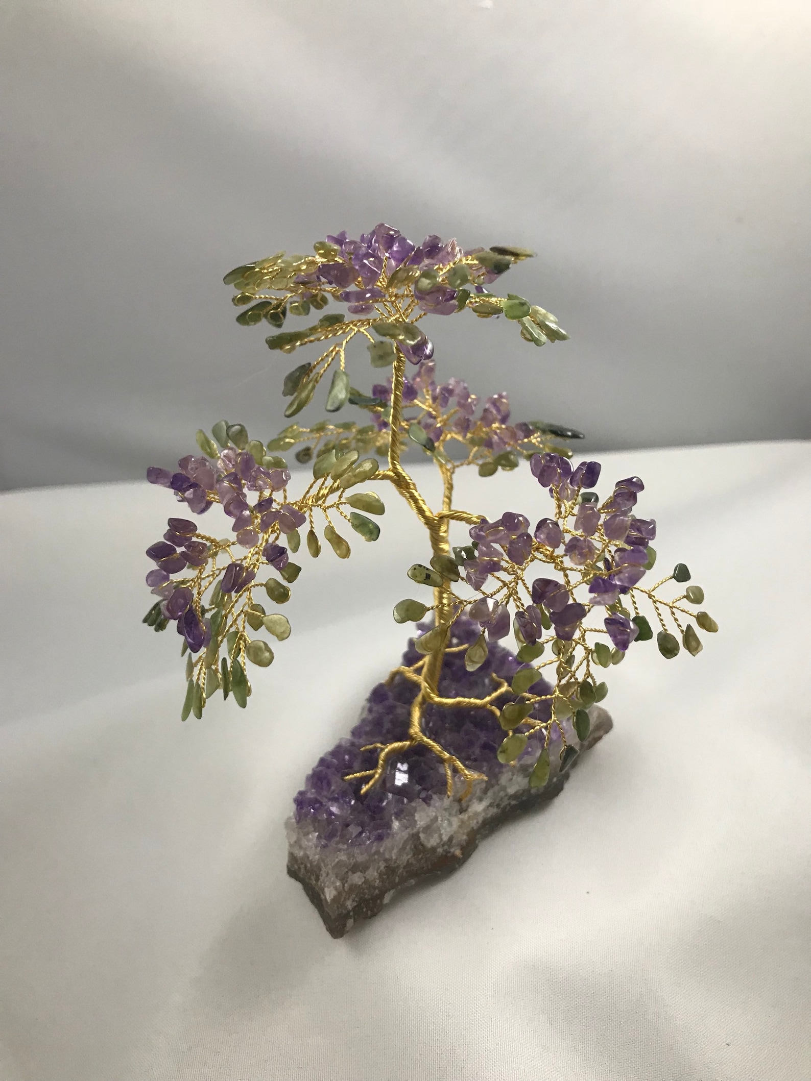 Miniature Jacaranda Gem Tree - Etsy
