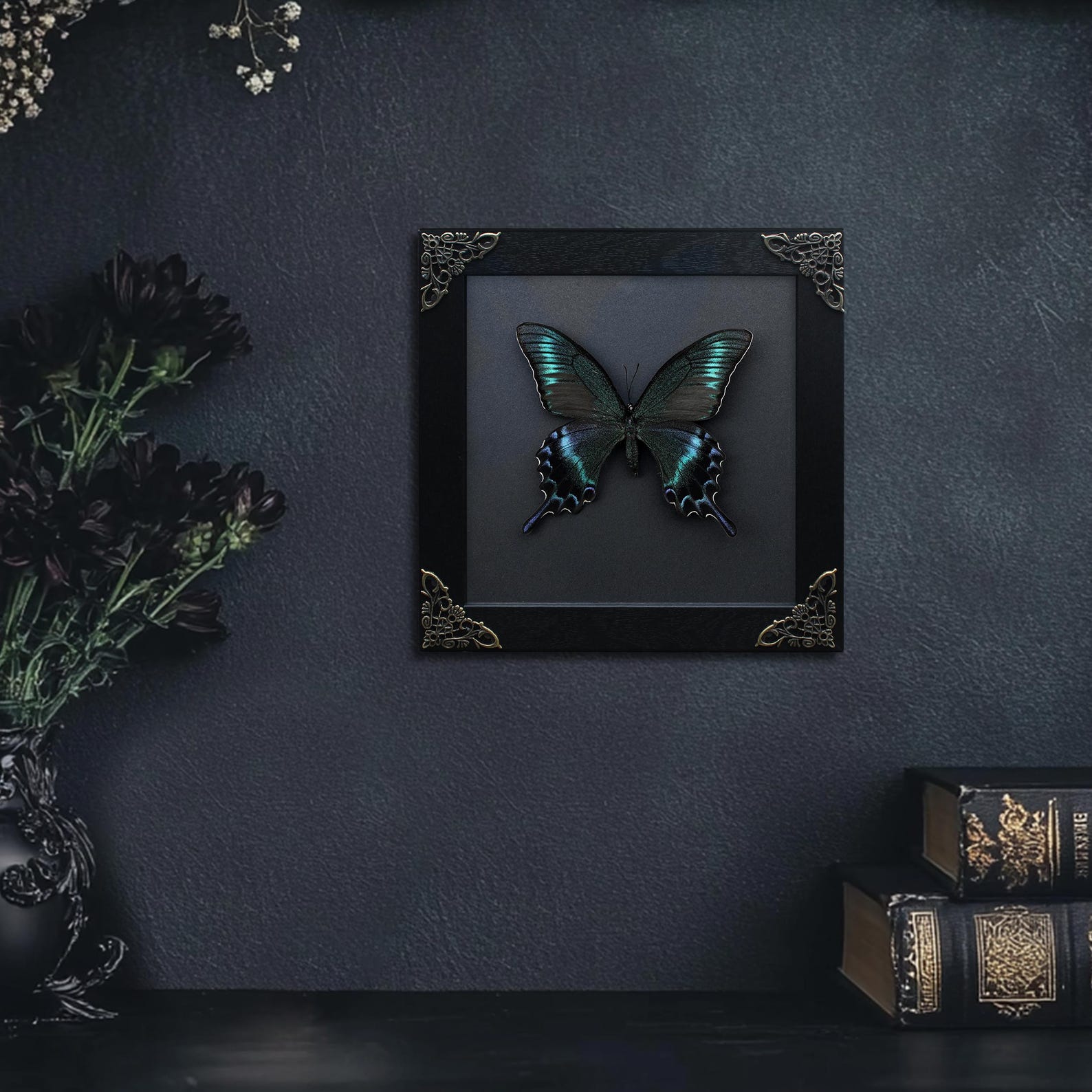 Papilio Maacki, Summer Form Blue Green Black Swallowtail Butterfly ...