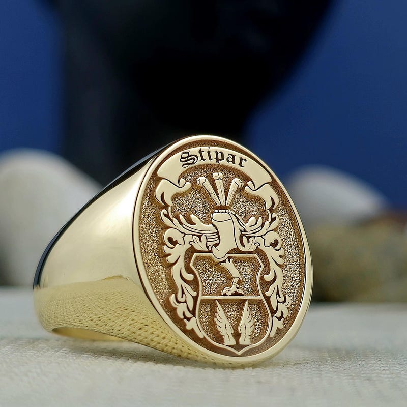 Oval Mens Signet Ring - Etsy