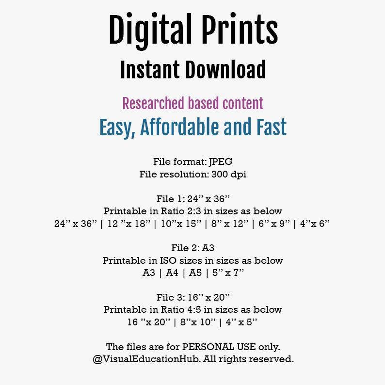 2d Shape Areas, Math Poster, Kids Room Decor, Classroom Decor ...