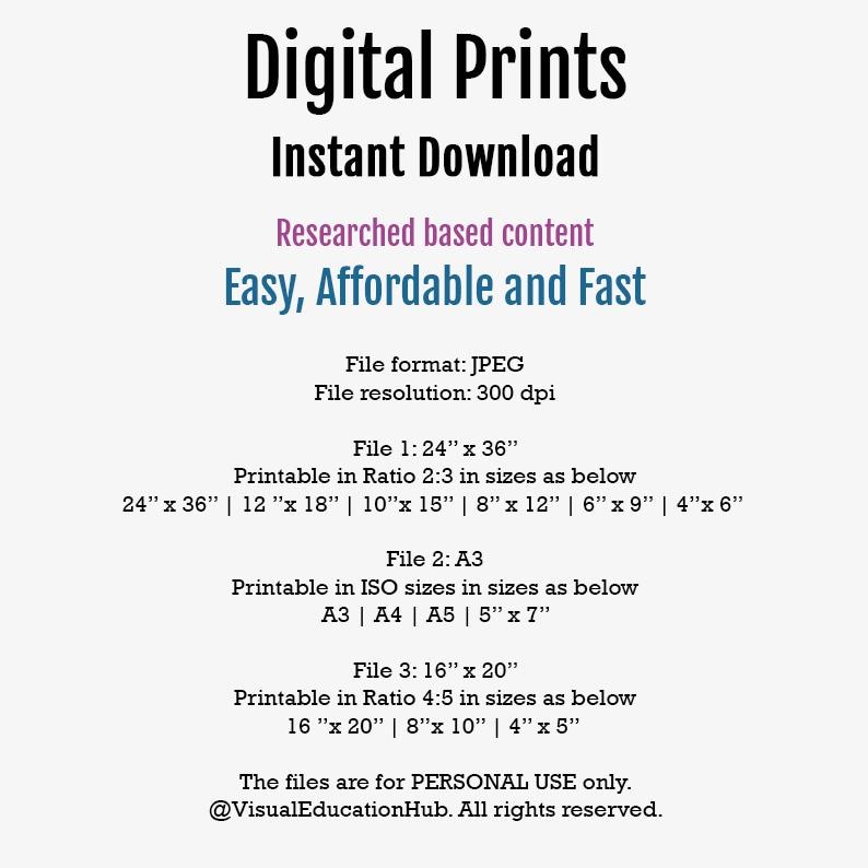 2D Geometry Shape, Math Poster, Kids Room Decor, Classroom Decor ...