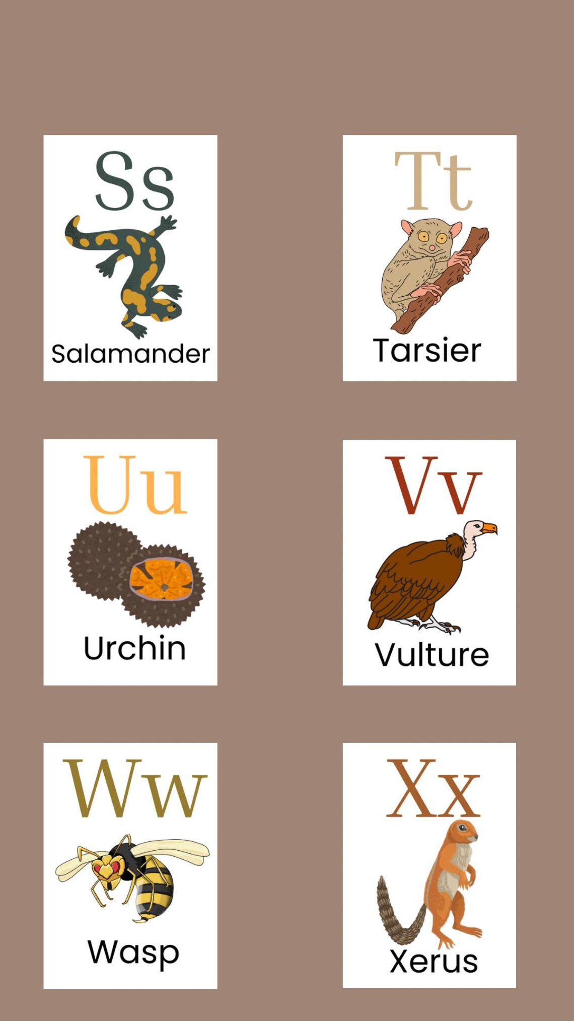 Digital Alphabet Flashcards, Animals Digital Prints, Colorful Alphabet ...