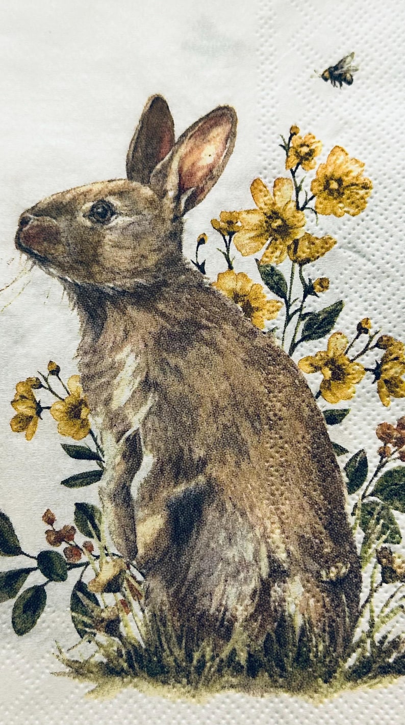Bunny Decoupage Napkins: Rabbit Designs, Spring Tissue Paper (3-piece ...