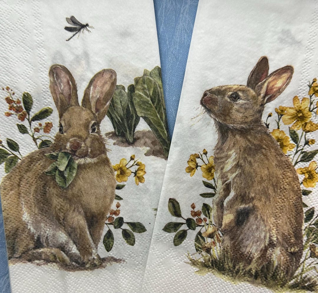 Bunny Decoupage Napkins: Rabbit Designs, Spring Tissue Paper (3-piece ...