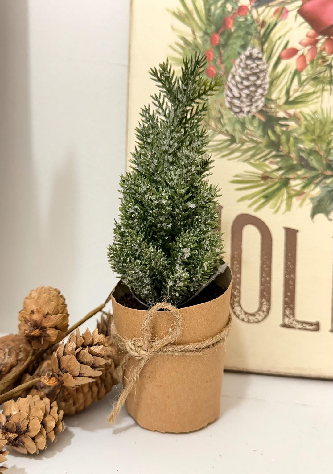 Pine Tree - Mini Pine Tree With Paper Pot, Holiday Table Decor, Mini ...