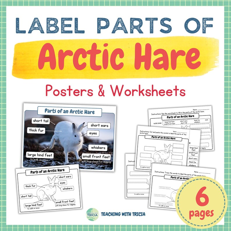 Tundra Biome - Label the Parts of Arctic Hare: Posters & Worksheets ...