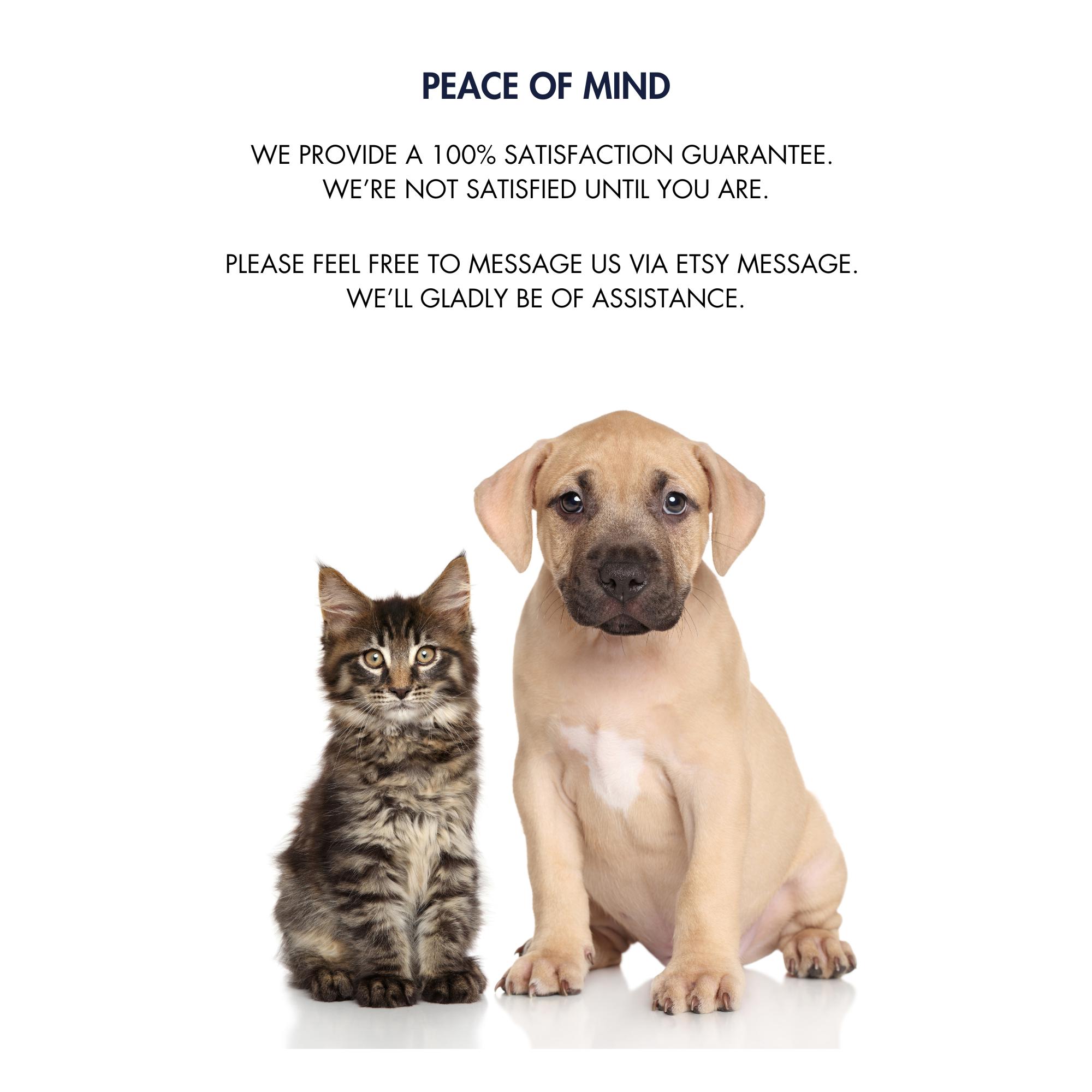 Apology Card Template, Printable Sorry Card PDF, Editable Forgiveness ...