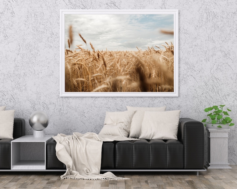 Kansas Wheat Field Landscape Wall Art Photograph - Etsy