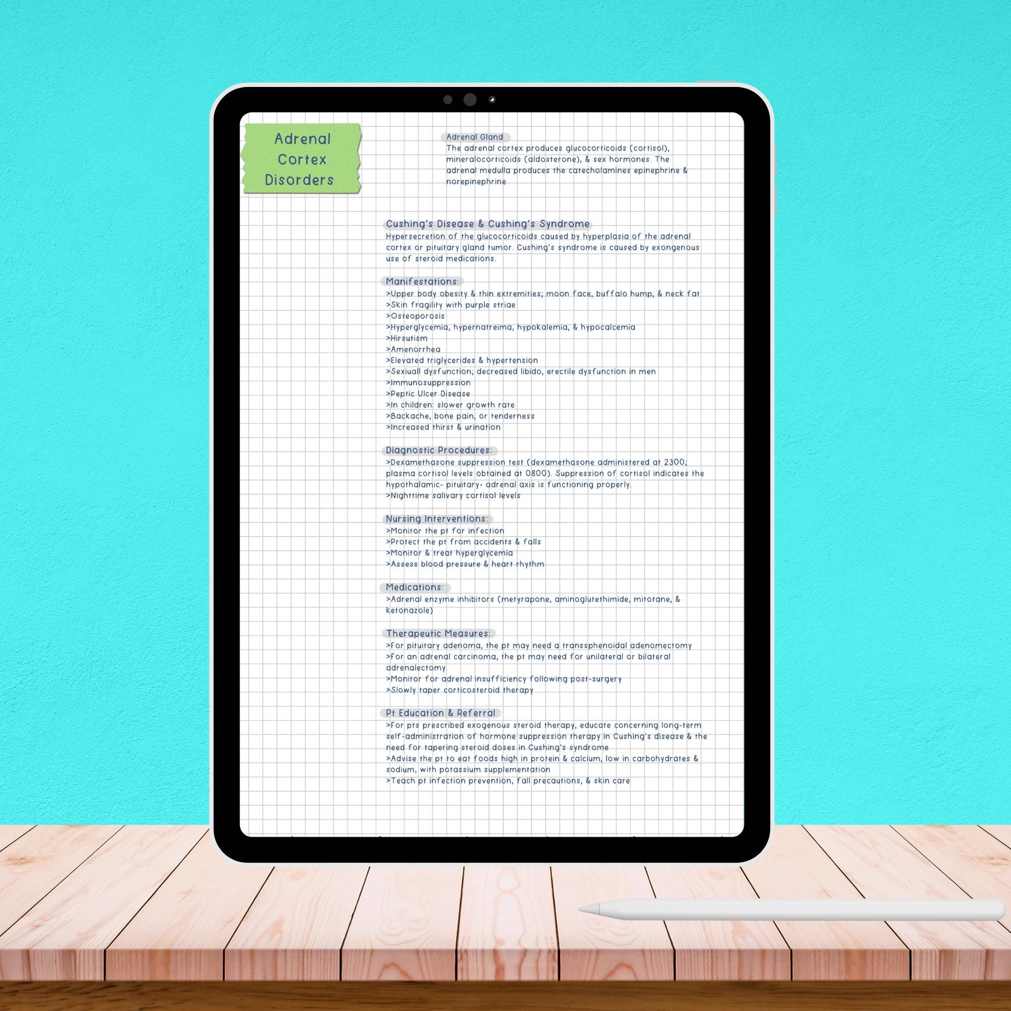Endocrine System Digital Nursing Student Notes - Etsy