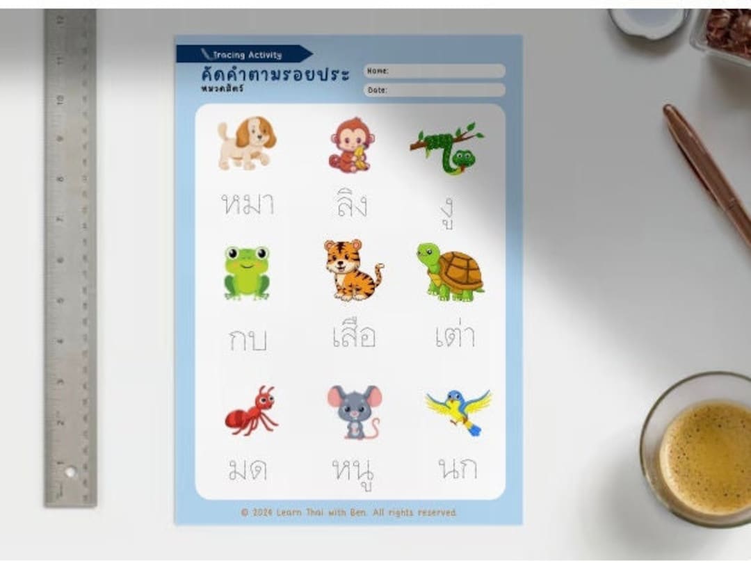Printable Thai Worksheets 30 Words in Animals Category - Etsy