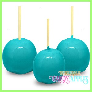 Turquoise Plain Candy Apples- 12 per Set/ 1 Dozen - Etsy