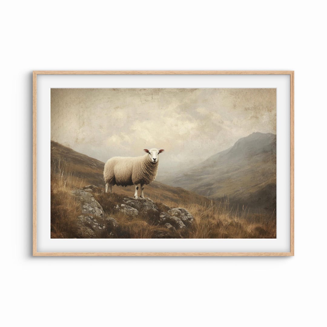 Highland Sheep | Scotland Art | Isle of Skye | Scottish Life | Cottage ...