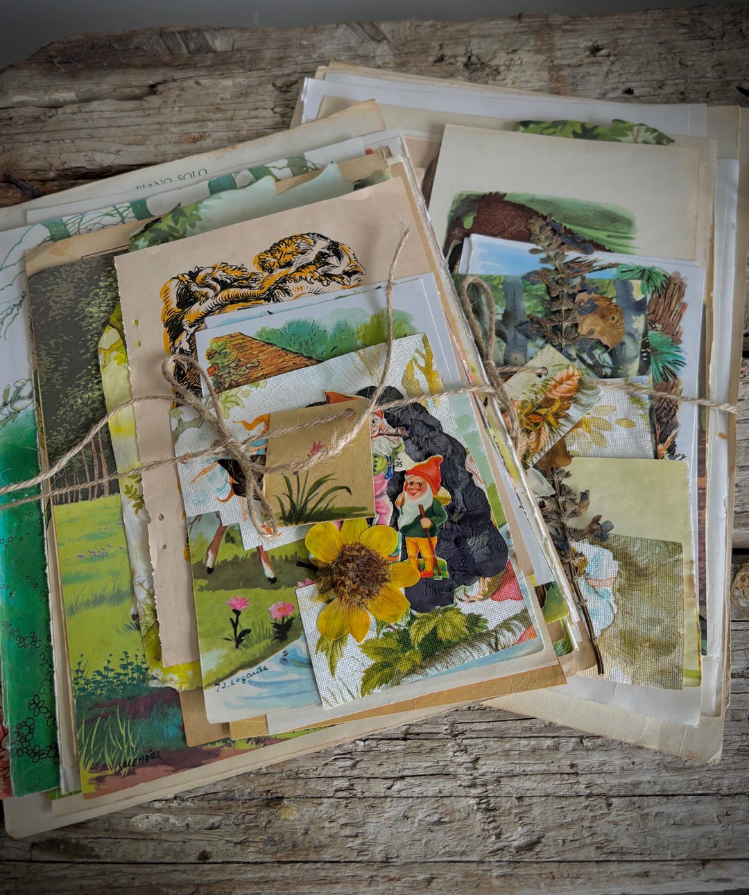 Woodland Magic Ephemera Pack, 30 Pieces, Fairies, Elves, Creatures ...