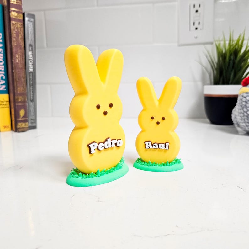 Personalized Family Name Display Easter Bunny Gift for Mom Holiday ...