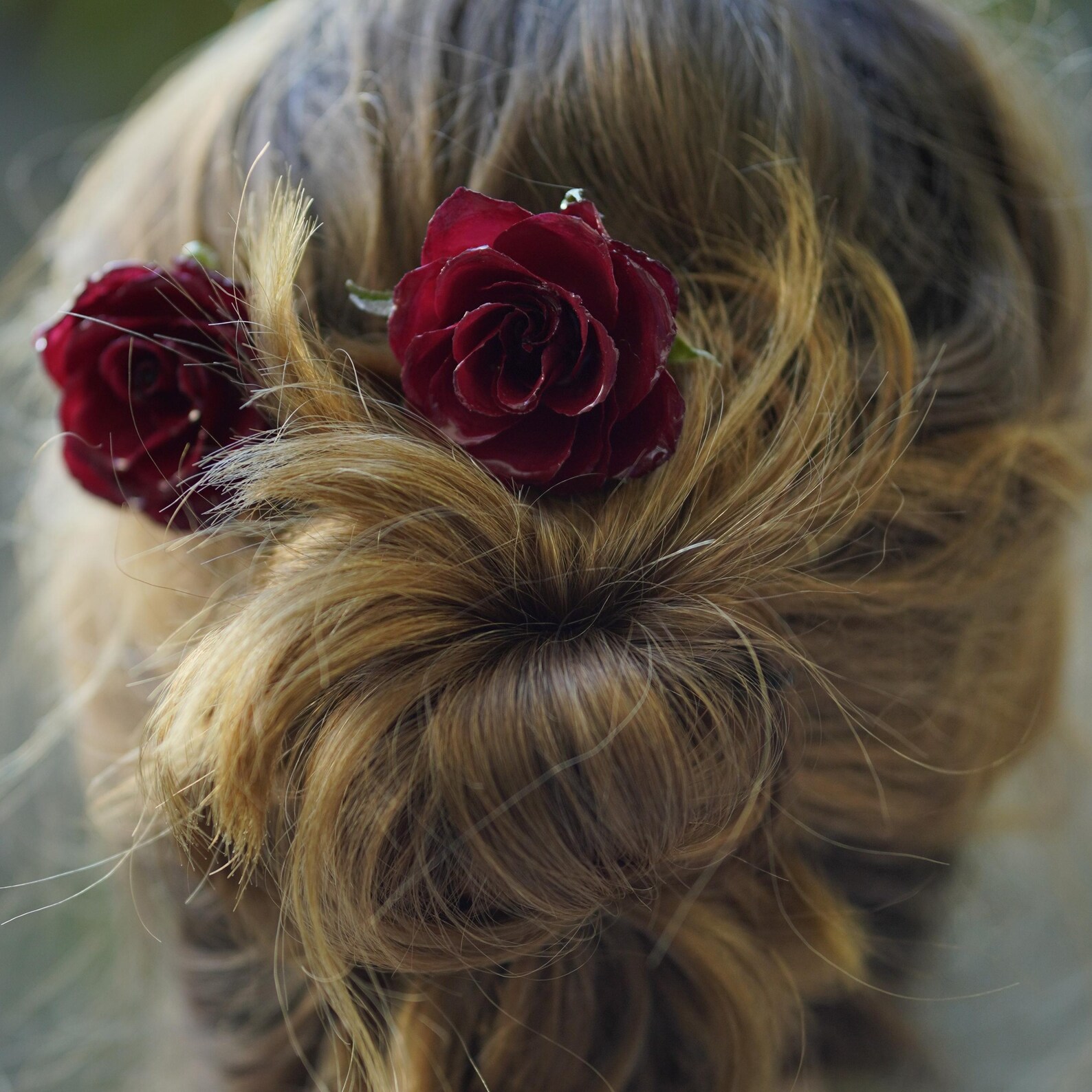 Real Red Rose Flower Hair Comb, Handmade Rose Hair Accessory, Gold and ...