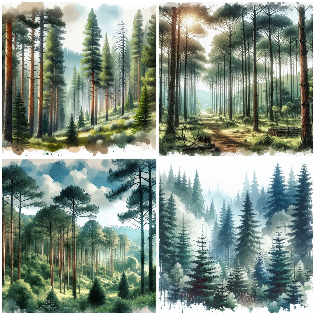 24 Watercolor Pine Tree Forest Clip Art/images - Etsy