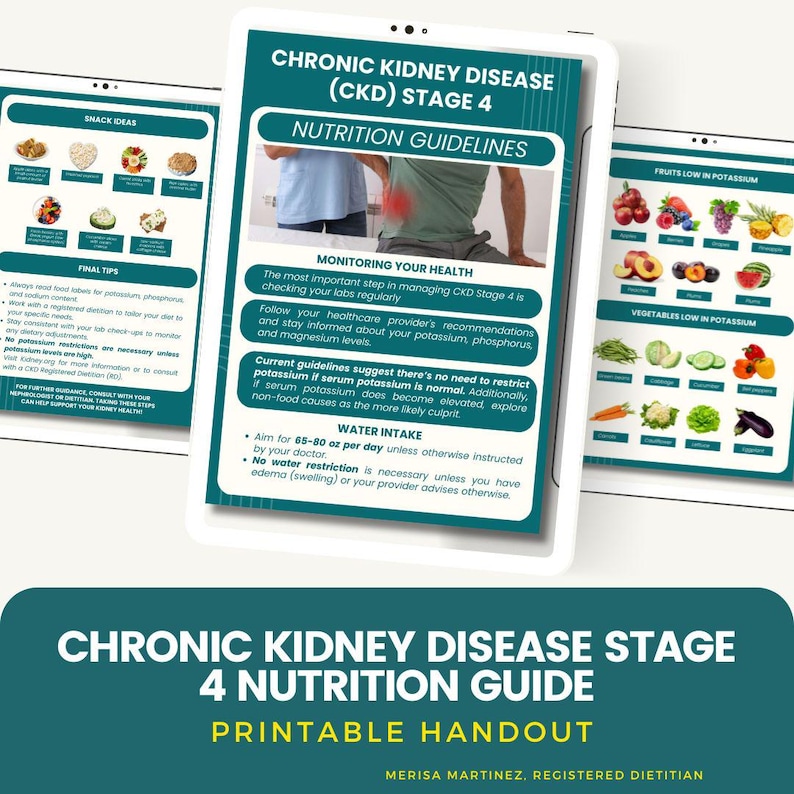 CKD Stage 4 Nutrition Guide - Etsy