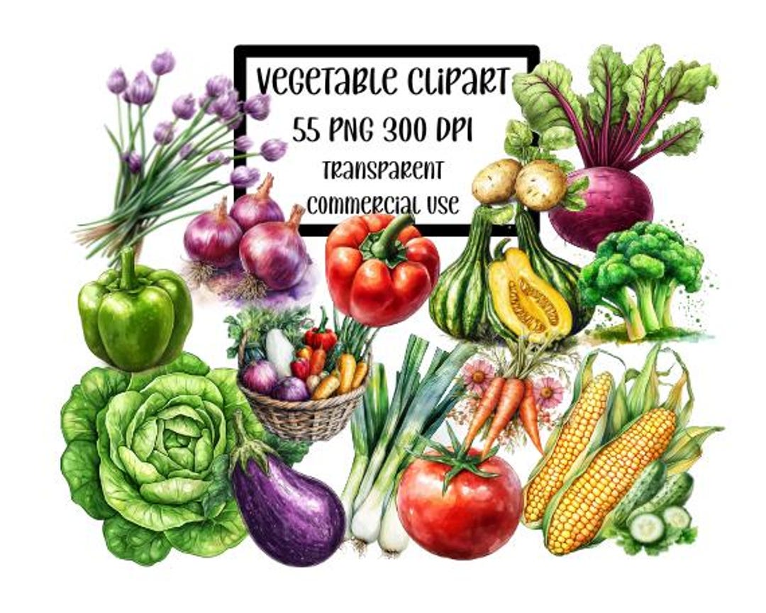 Watercolor Vegetables Clipart Bundle 55 PNG for Digital Download for ...