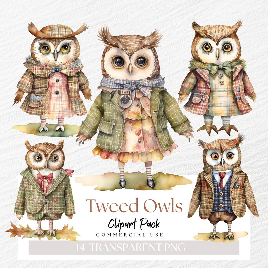 Quirky Owl Clip Art, Owls in Tweed Clothes, Funny Birds, Pets Clipart ...