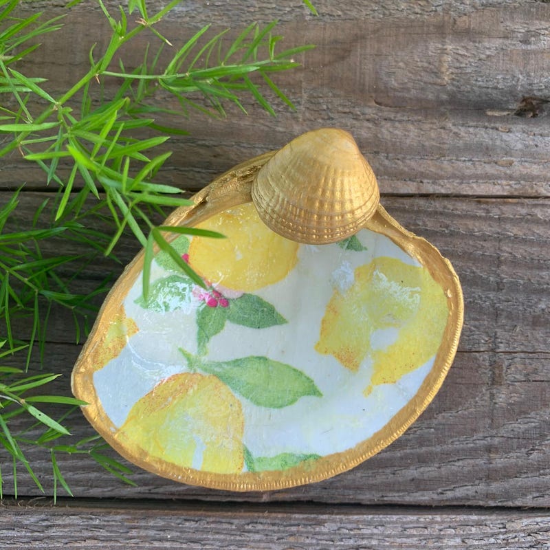 Clam Shell - Etsy