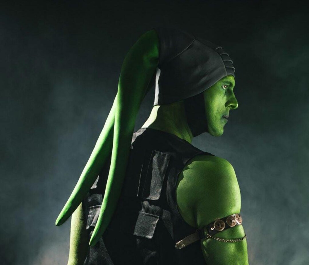 Twi'lek Lekku Tail - Etsy