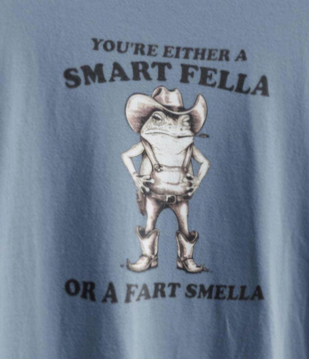 Funny Cowboy Frog Shirt, Smart Fella Fart Smella Tee, Western Humor T ...