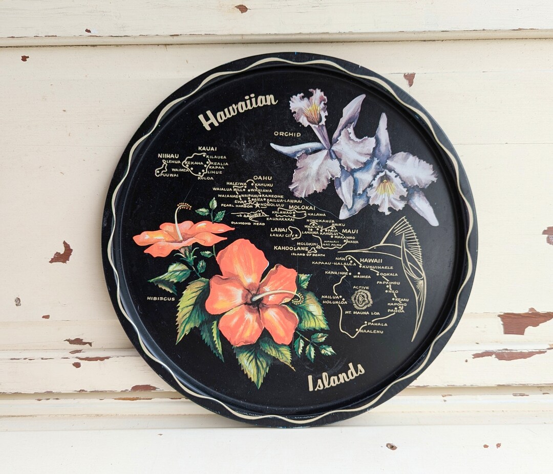 Souvenir State Trays Vintage Souvenir State Trays Metal Tray With State ...