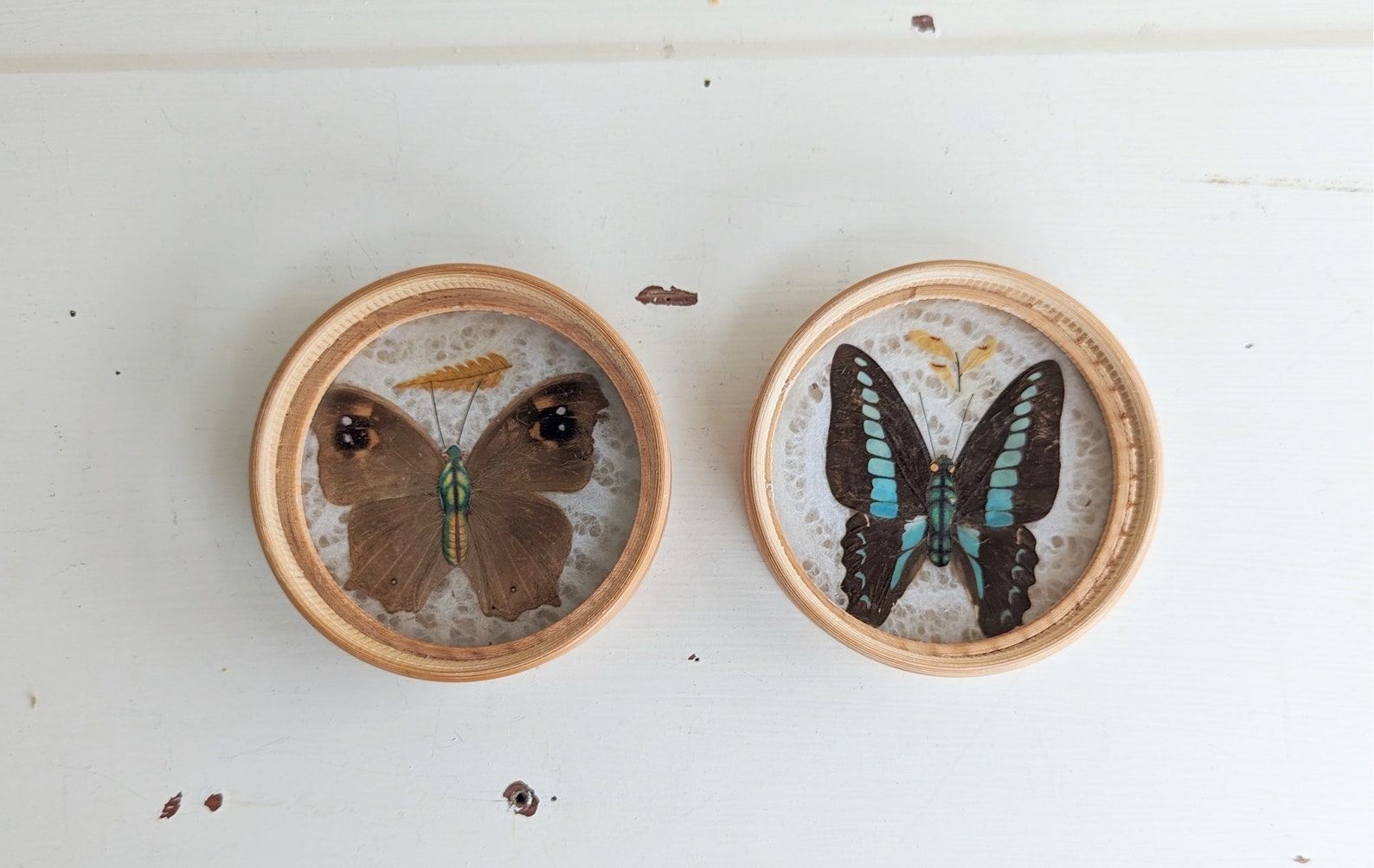 Two Vintage Butterfly Coasters Bamboo Coasters With Pressed Butterflies ...