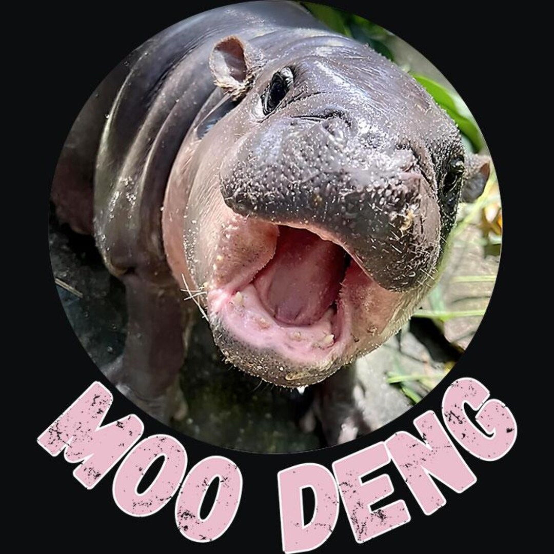 Cute Baby Hippo Moo Deng Bouncy Pig in Thai Hippopotamus Png - Etsy