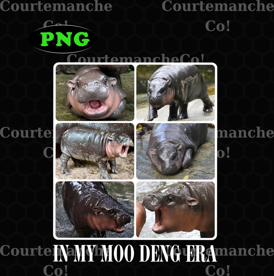 Moo Deng Eras Png, Moo Deng Merch Png, Moo Deng Gift Png, Baby Hippo ...