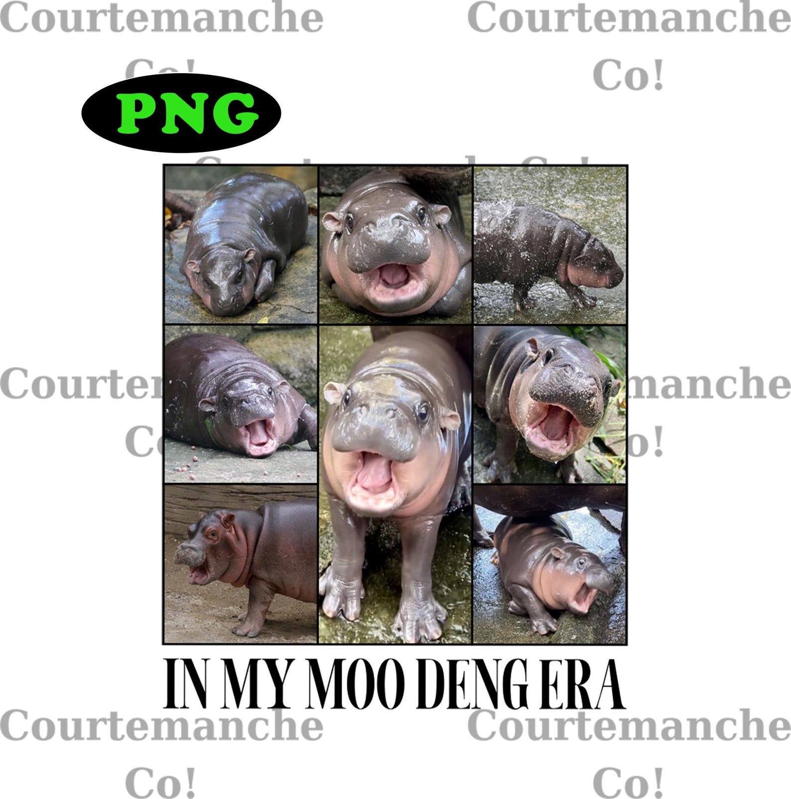 Moo Deng Eras PNG, Moo Deng Merch Png,baby Hippo Png, Zoo Baby Hippo ...