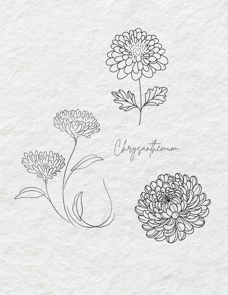 Chrysanthemum Flower for November Tattoo Stencil/drawing. - Etsy