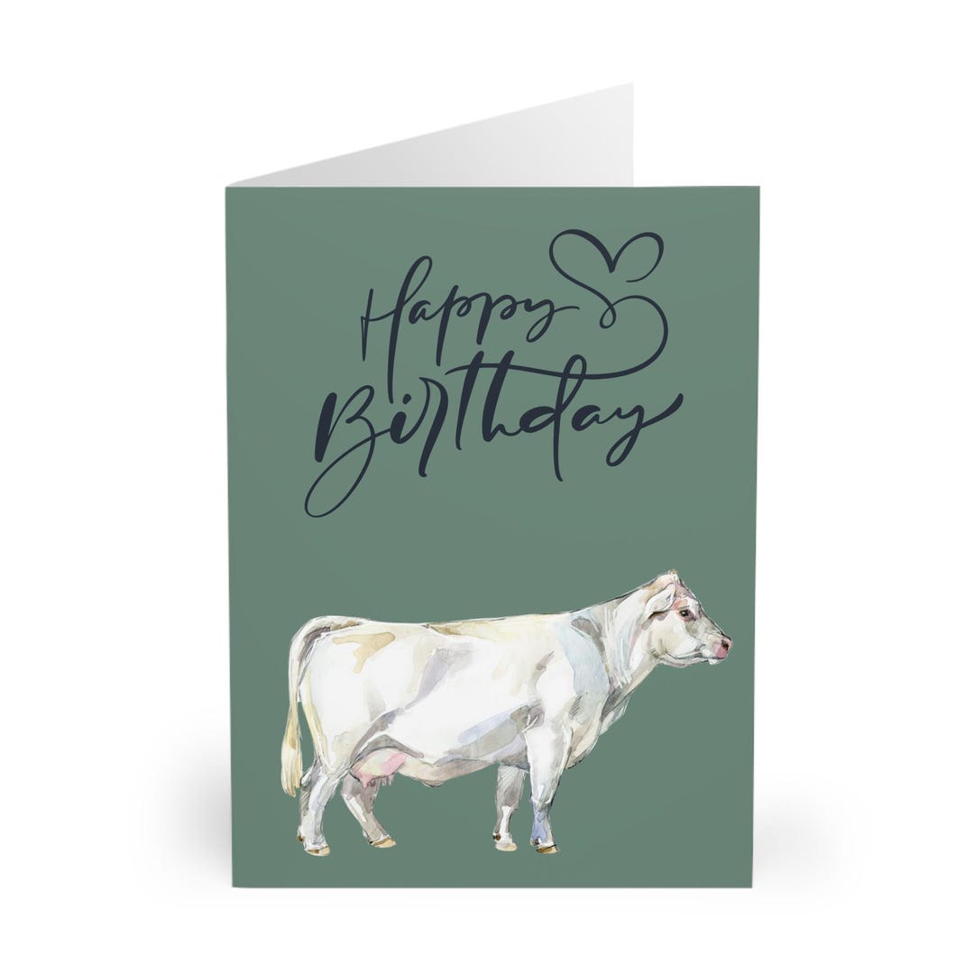 Charolais Cow Birthday Cards. 5 Pack. Birthday Cards. Greeting Cards ...