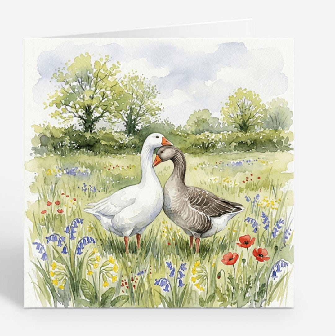 Goose Friends Greeting's Card. 6"x6"/148cm X 148cm .blank Interior ...