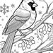 Christmas Cardinal Coloring Page | Winter Bird Digital Download ...