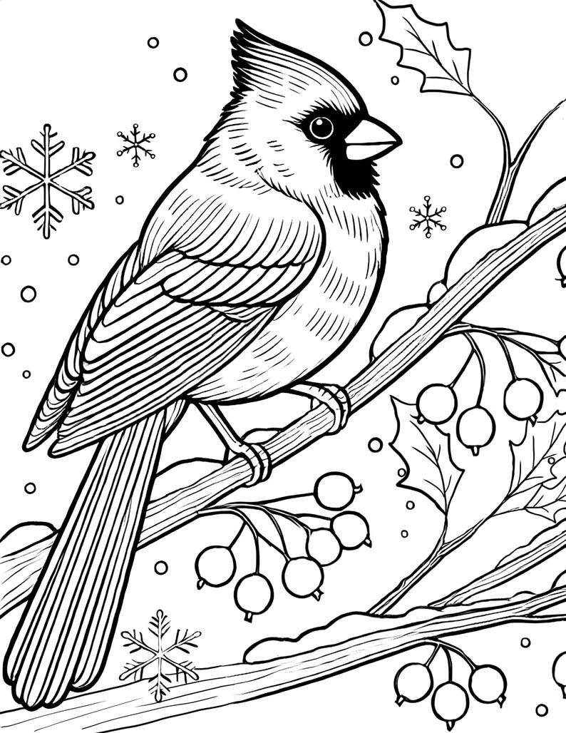 Christmas Cardinal Coloring Page | Winter Bird Digital Download ...