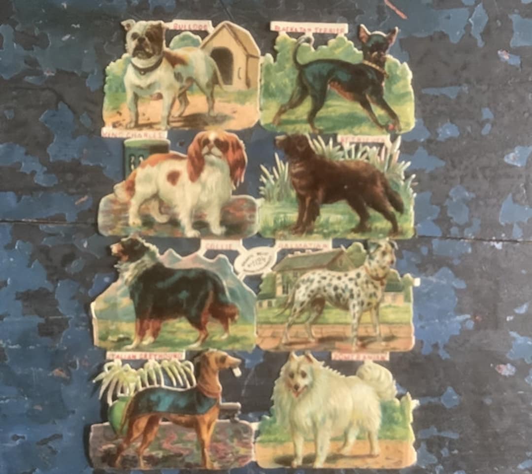 Antique Raphael Tuck & Sons Gigantic Relief Dogs Embossed Die Cuts X 8 ...