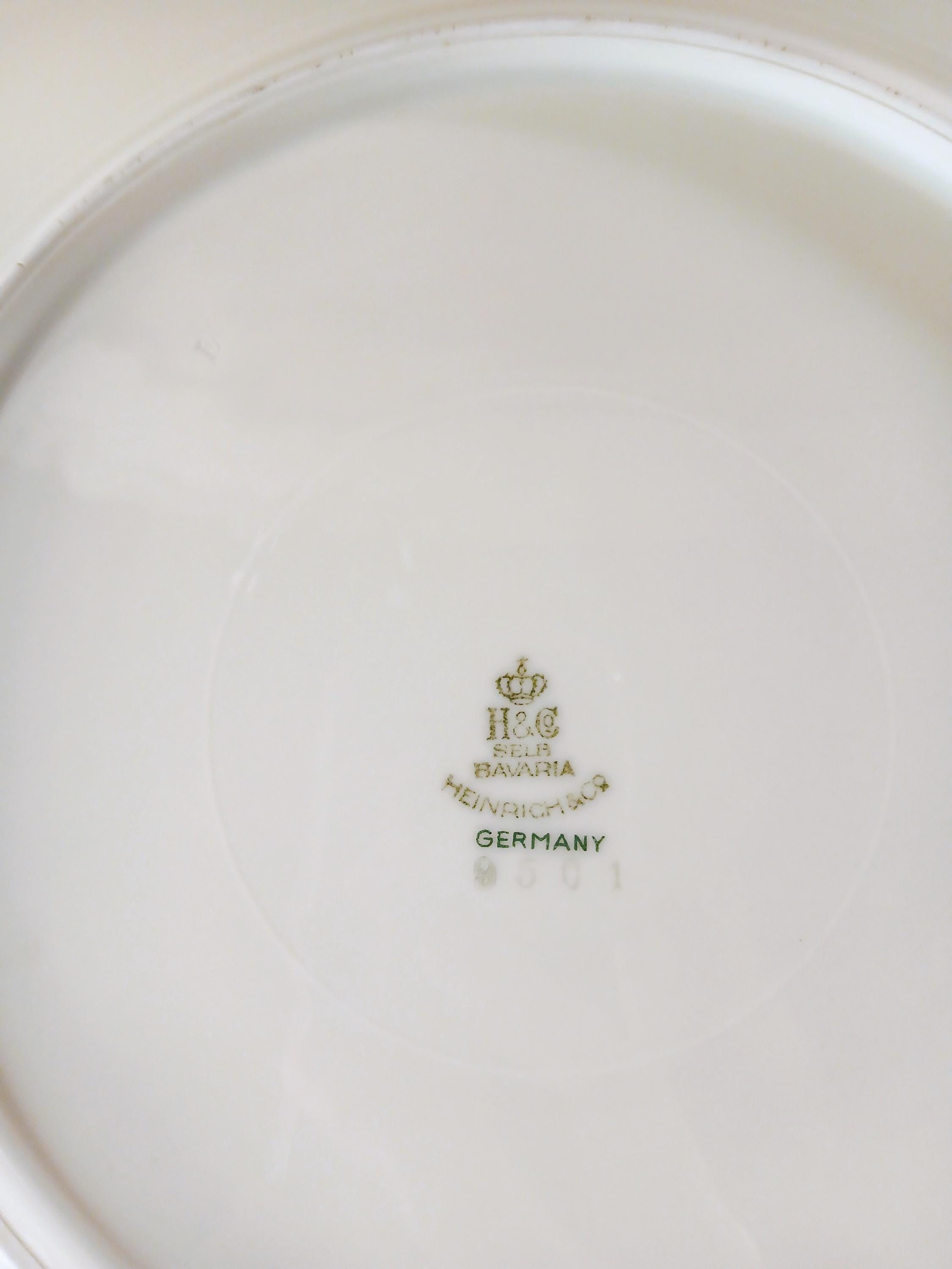 Vintage H&co Selb, Bavaria, Heinrich Germany Porcelain Floral Dinner ...