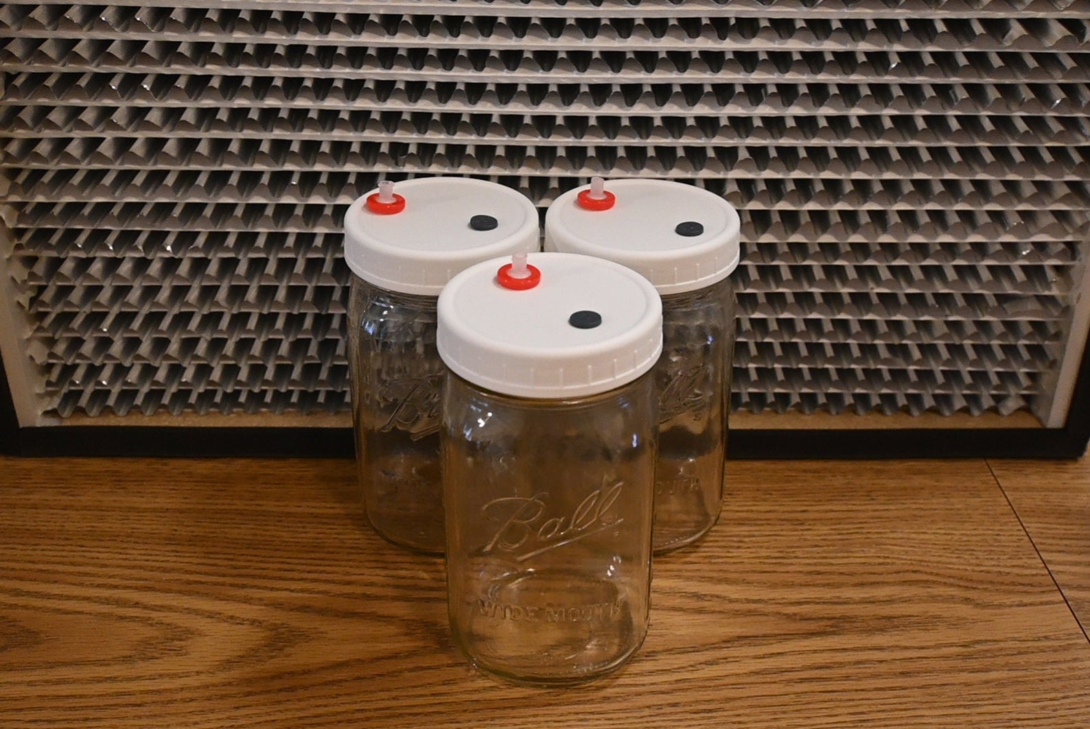 3x Mushroom Spawn Jars With Modified Lid - Etsy