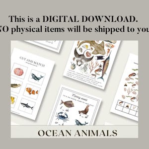 Ocean Animals Learning Worksheets for Preschool and Young Children Aged ...
